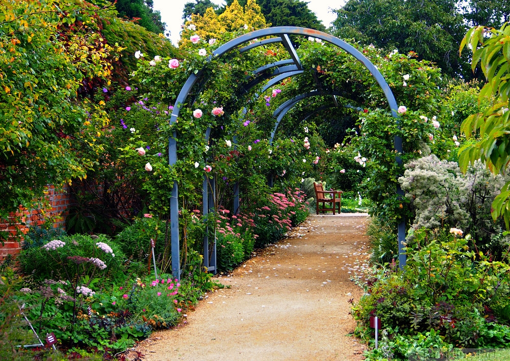 Royal Tasmanian Botanical Gardens » ramblingtart